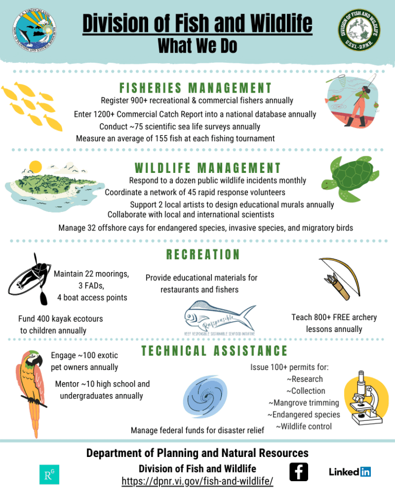 What We Do - Virgin Islands Department of Planning and Natural Resources
