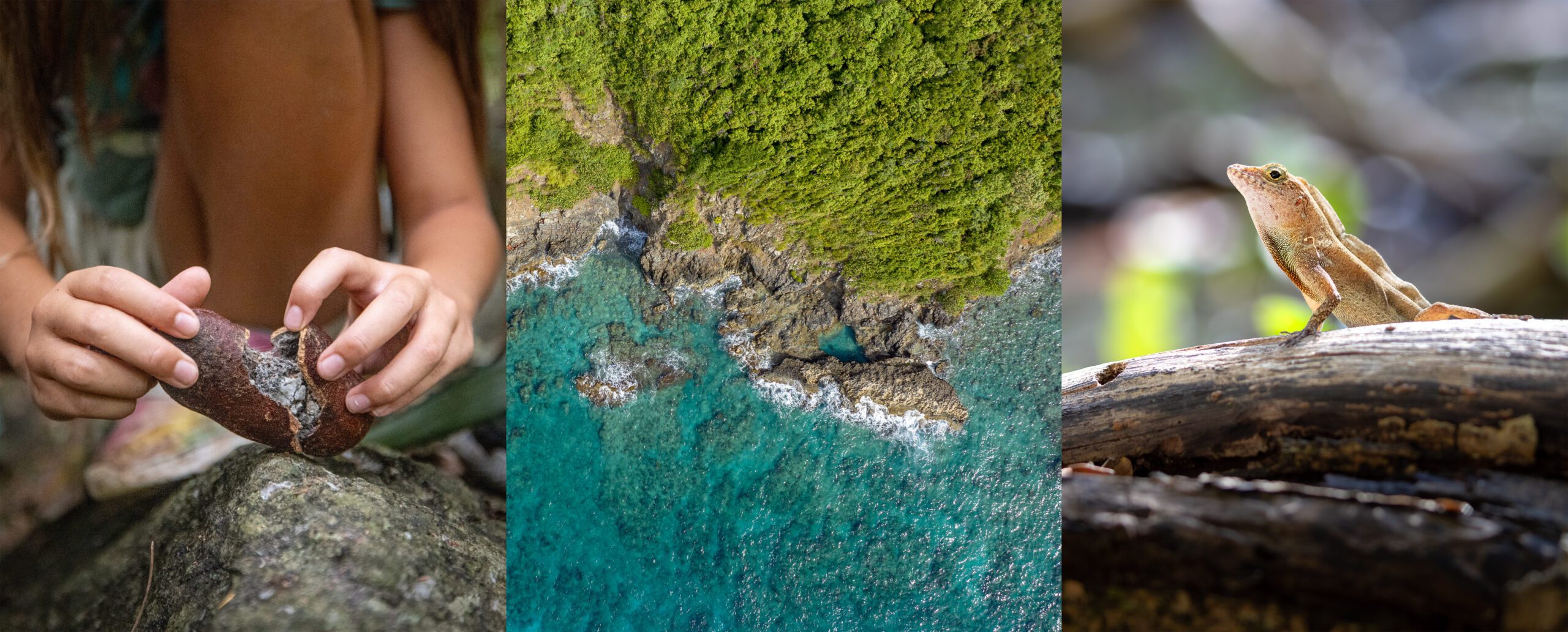 Land Conservation & Park Development - Virgin Islands Department of ...